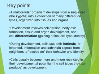 Introduction of developmental biology | PPTX