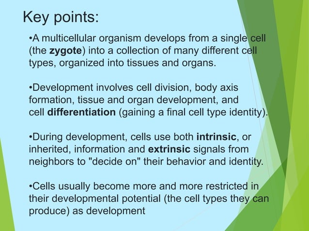 Introduction of developmental biology | PPTX | Biological Sciences ...