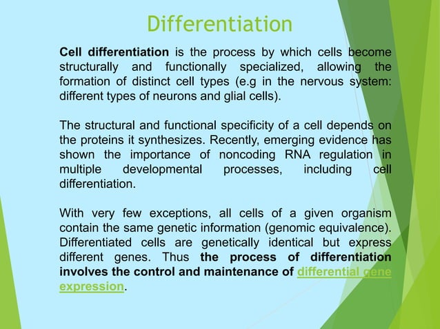 Introduction of developmental biology | PPTX | Biological Sciences ...