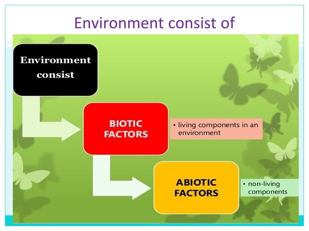 Intro of environment by pooja | PPT