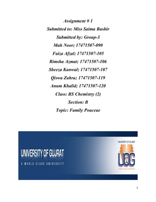 Intro of family poaceae by faiza | DOCX
