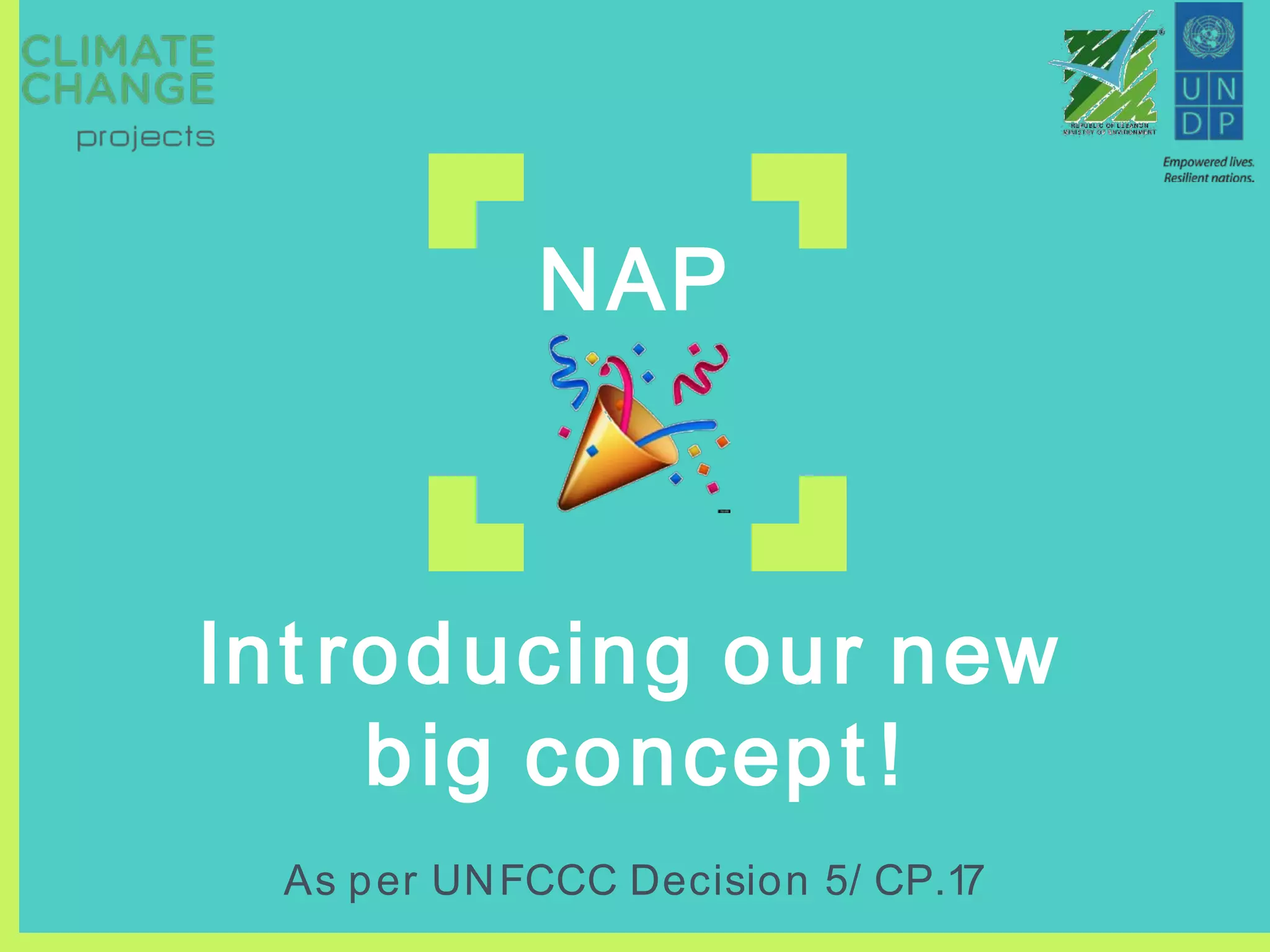 Introduction to the NAP process and NAP guidelines within the Lebanese ...