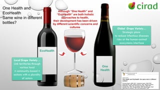 Intro One Health.hrisjbswosknddjisskskpptx | PPTX