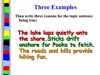Introduction to Paragraphs | PPT
