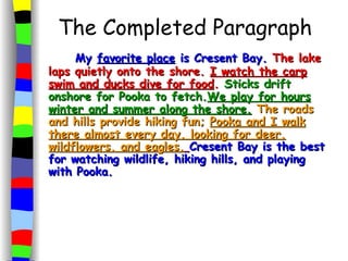 Introduction to Paragraphs | PPT