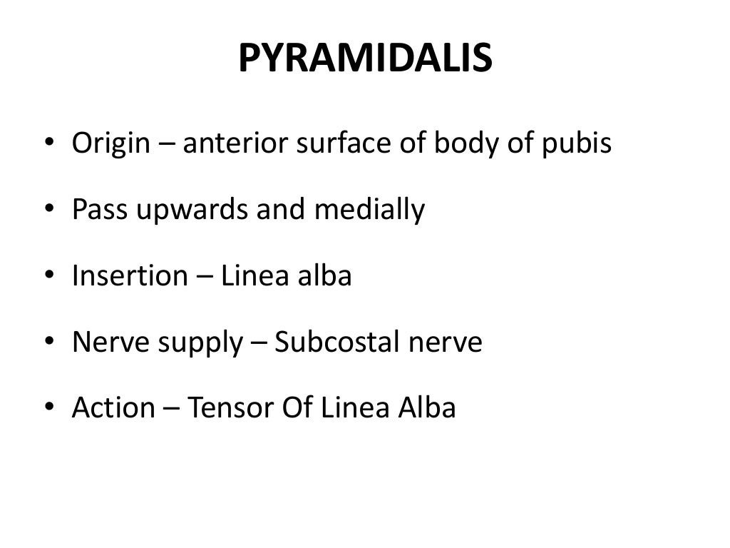Intropduction to abdomen.pptx