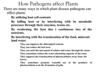 intro plantpathology-.pptx