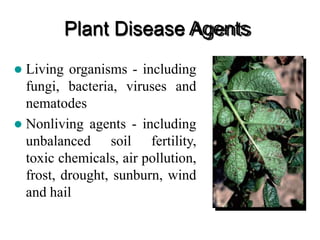 intro plantpathology-.pptx