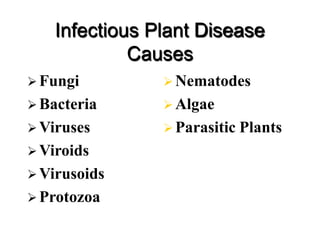 intro plantpathology-.pptx