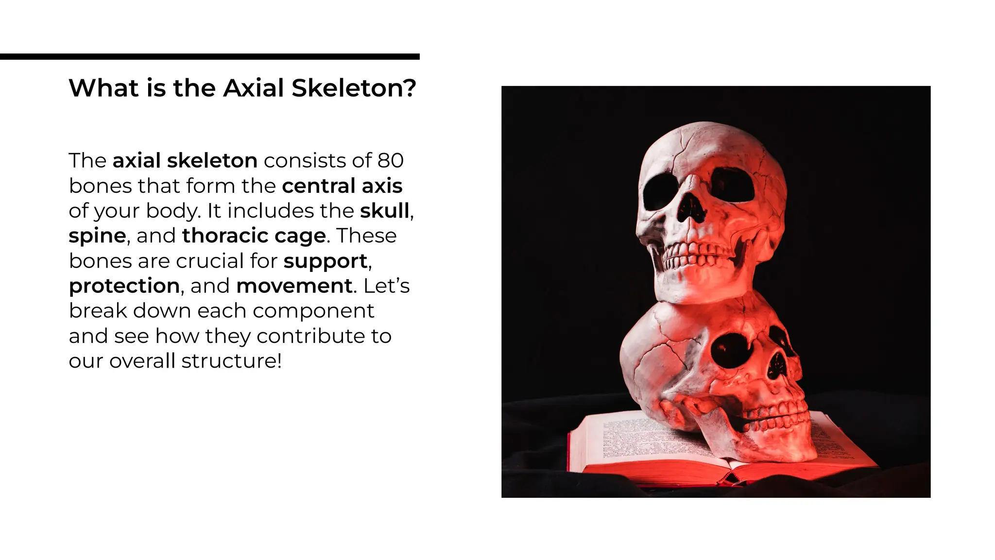 Intro ppt anatomy.pdf describing whole body bones | PDF