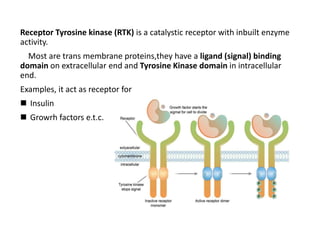 Introduction RTKs.pptx