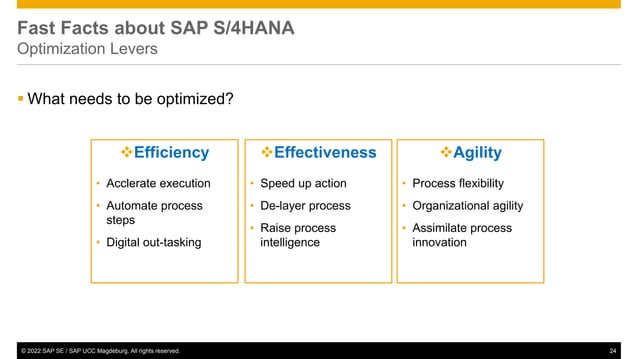 Intro_S4HANA_Using_Global_Bike_SAP_slides_en_v.4.1.pdf