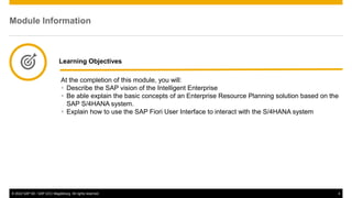 Intro_S4HANA_Using_Global_Bike_SAP_slides_en_v.4.1.pdf | Databases | Computer Software and ...