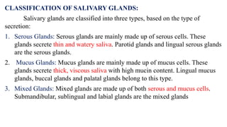 INTRO & SALIVARY GLAND.pptx