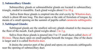 INTRO & SALIVARY GLAND.pptx