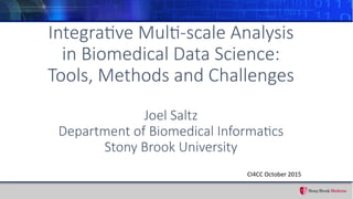 Integrative Multi-Scale Analysis in Biomedical Data Science: Tools, Methods and Challenges | PDF