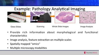 Integrative Multi-Scale Analysis in Biomedical Data Science: Tools ...