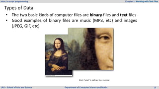 Intro_script_1_1programmingonfirstchaptwrinc | PDF | Programming Languages | Computing