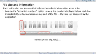 Intro_script_1_1programmingonfirstchaptwrinc | PDF