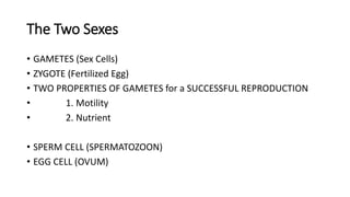 Intro Sexual Reproduction.pptx