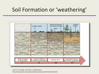 Intro Soils Lecture 1a | PPT