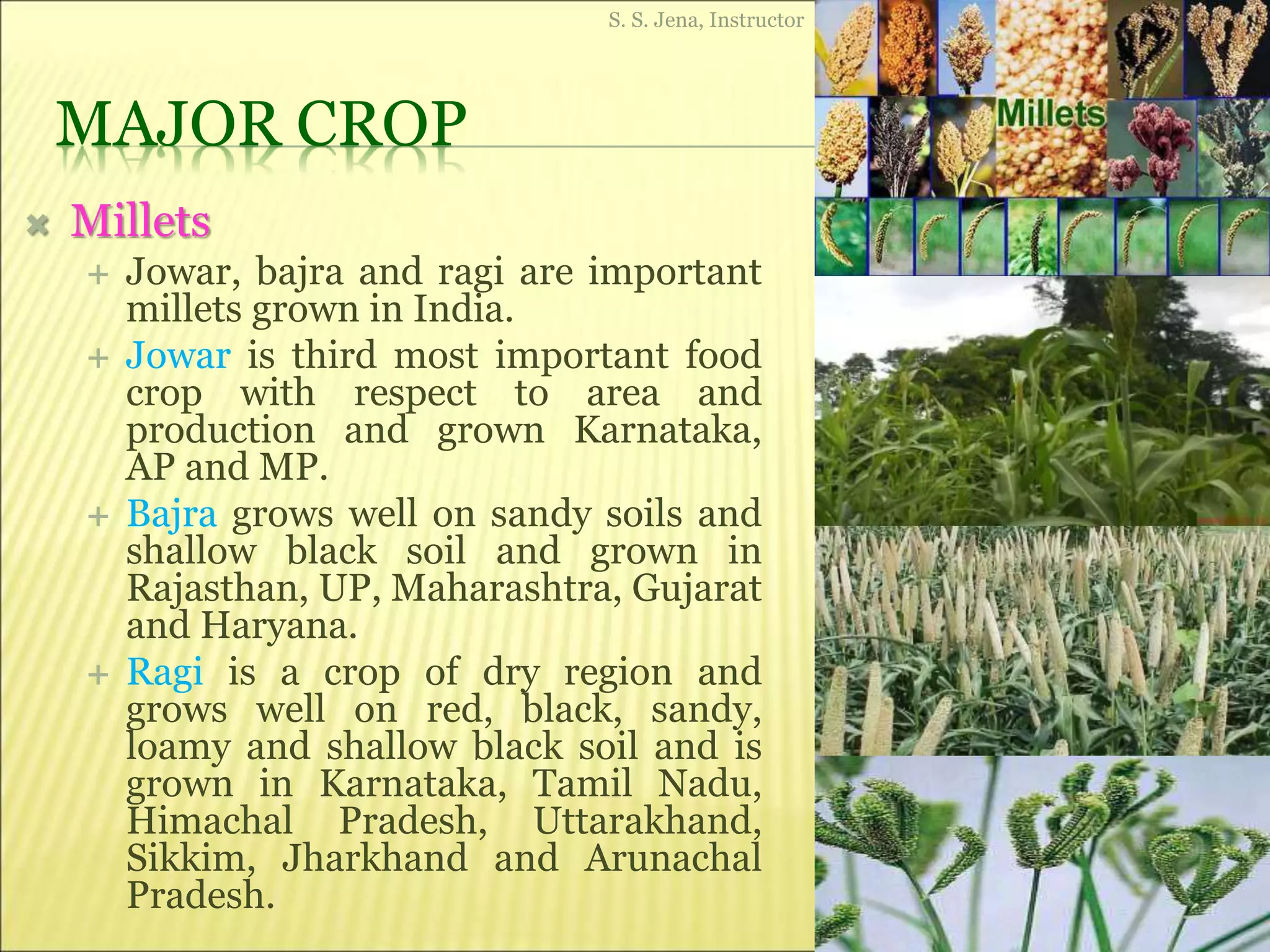 Introduction to Agriculture | PPT