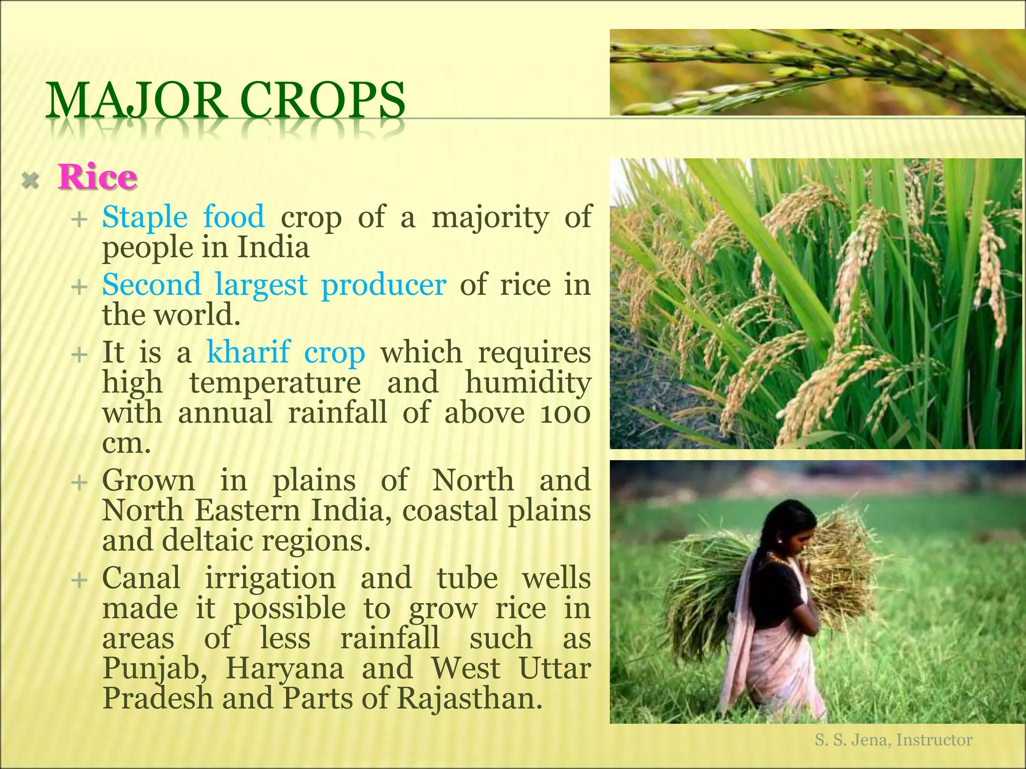 Introduction to Agriculture | PPT