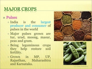 Introduction to Agriculture | PPT