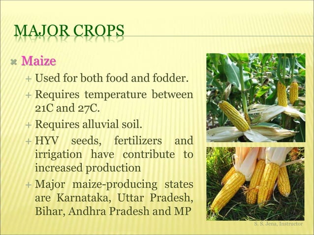 Introduction to Agriculture | PPT | Agriculture | Industries