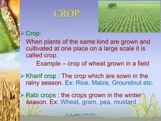 Introduction to Agriculture | PPT