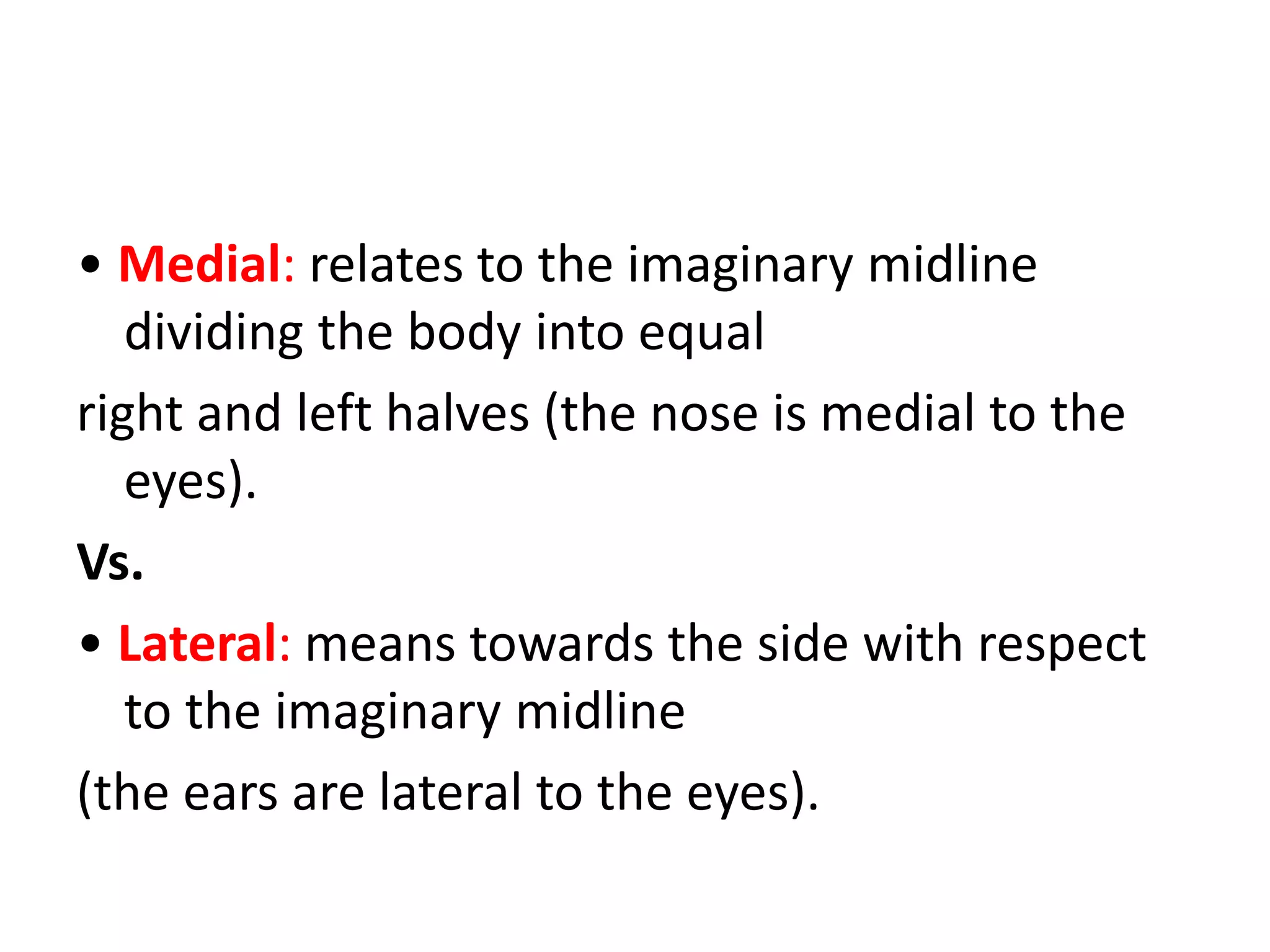 intro to anatomy.pdf