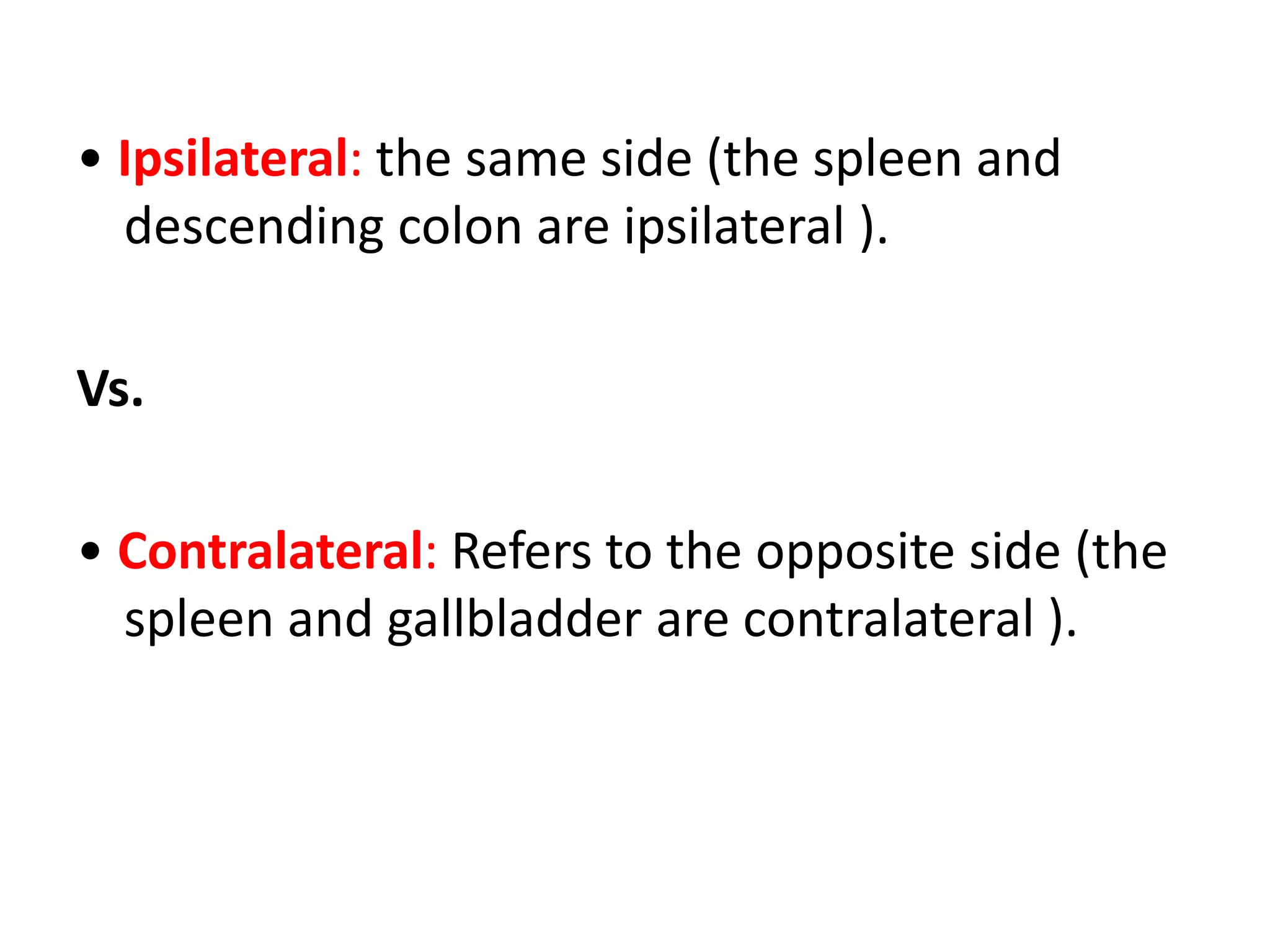 intro to anatomy.pdf