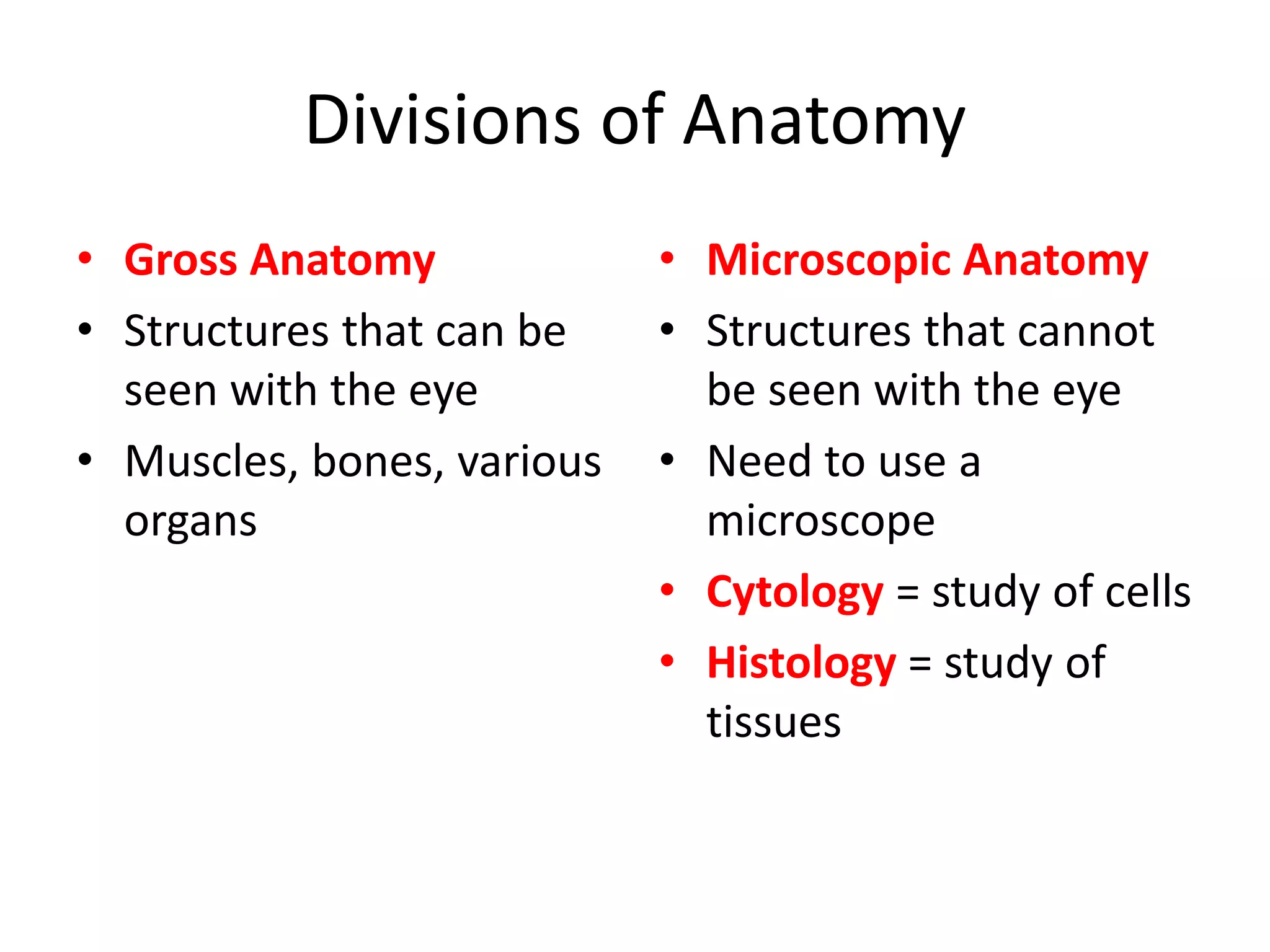 intro to anatomy.pdf