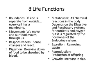 intro to anatomy POWERPOINT PRESENTATION | PPT