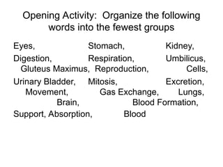 intro to anatomy POWERPOINT PRESENTATION | PPT