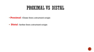 Intro to anatomy (1).pdf