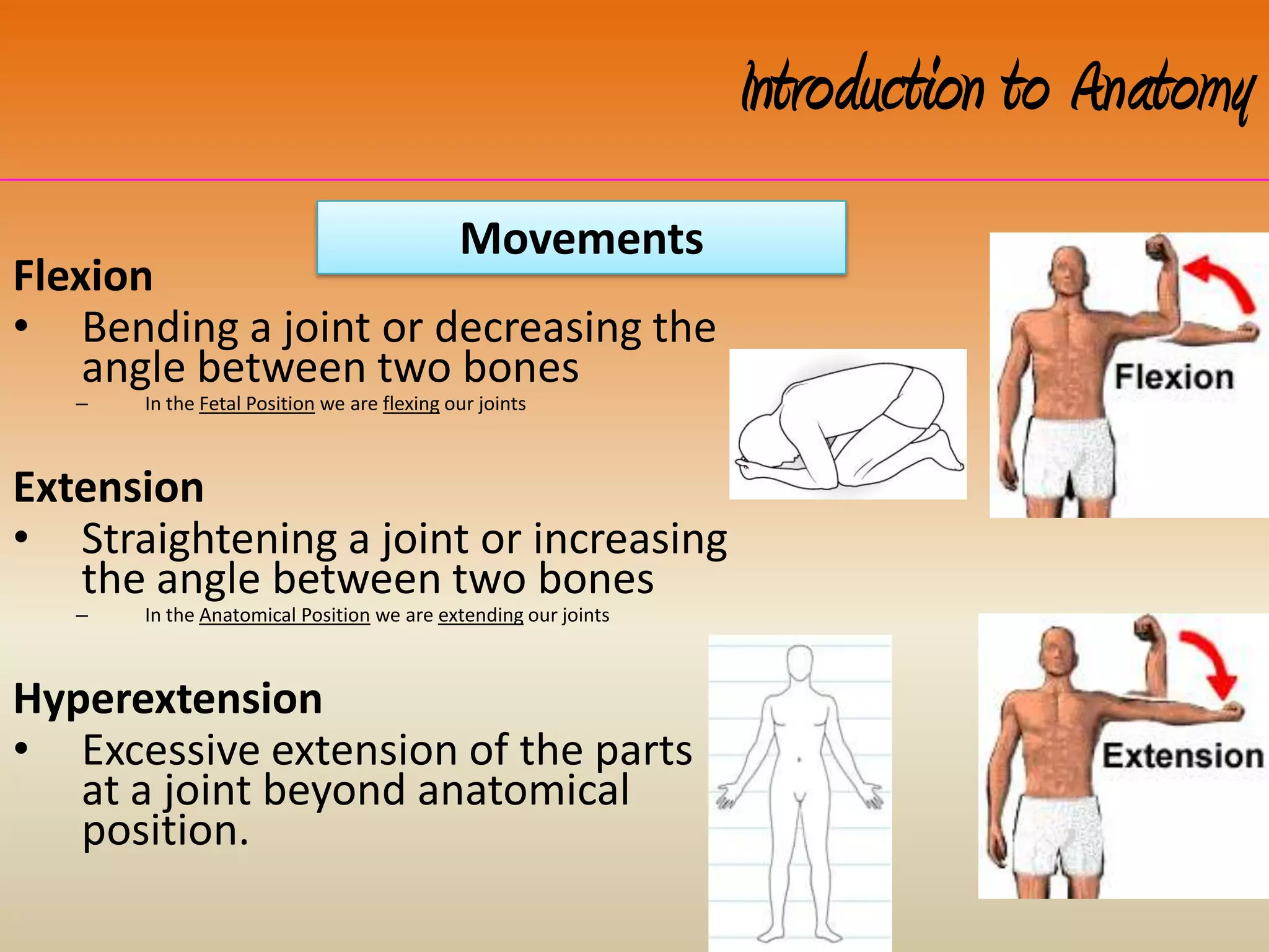 Intro to anatomy | PPTX