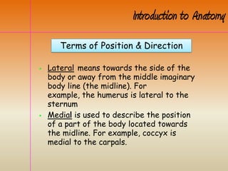 Intro to anatomy | PPTX