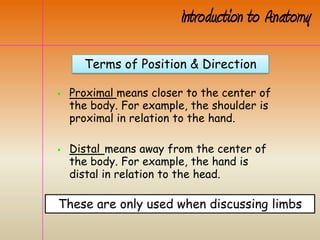 Intro to anatomy | PPTX