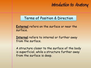 Intro to anatomy | PPTX