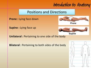 Intro to anatomy | PPTX