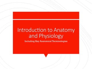 Intro_to_Anatomy_and_Physiology_With_Homeostasis.pptx