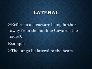 Introduction to Anatomy | PPTX