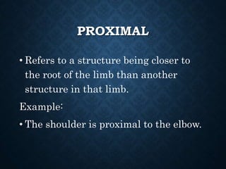 Introduction to Anatomy | PPTX