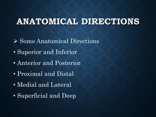 Introduction to Anatomy | PPT