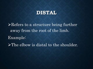 Introduction to Anatomy | PPT