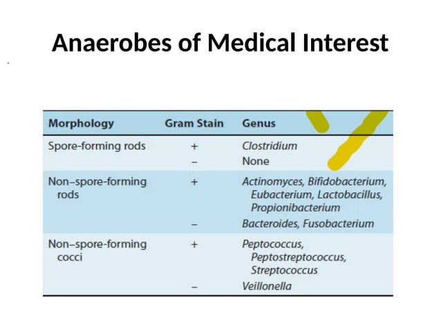 Introduction to anaerobic bacteria clinical bacteriology | PPTX ...