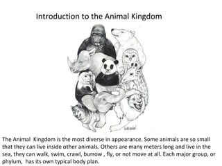 Intro To Animals | PPT