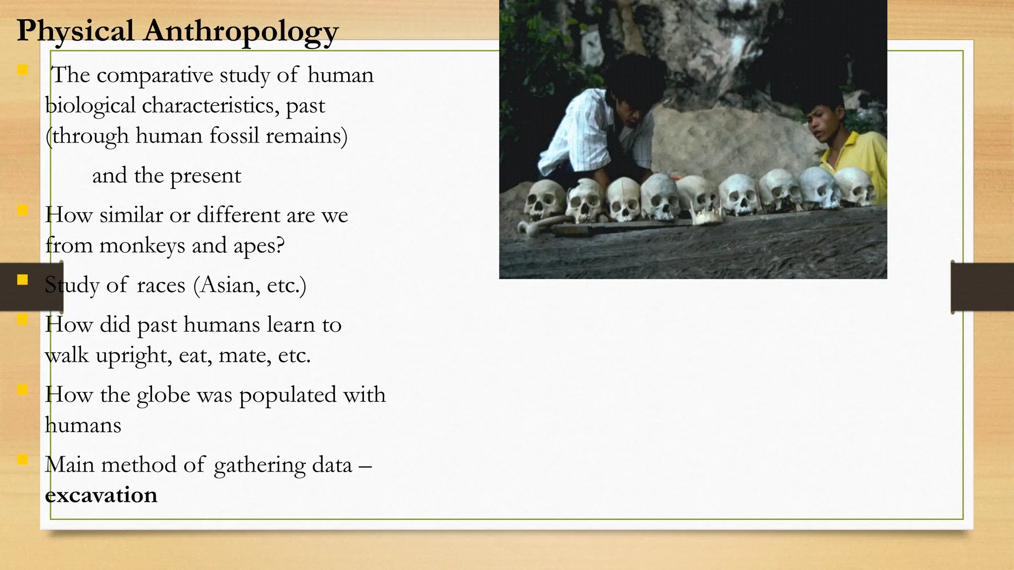 Introduction to Anthropology - A Social Science field | PPTX