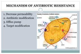 Intro to Antibacterial drugs (Final Draft).pptx